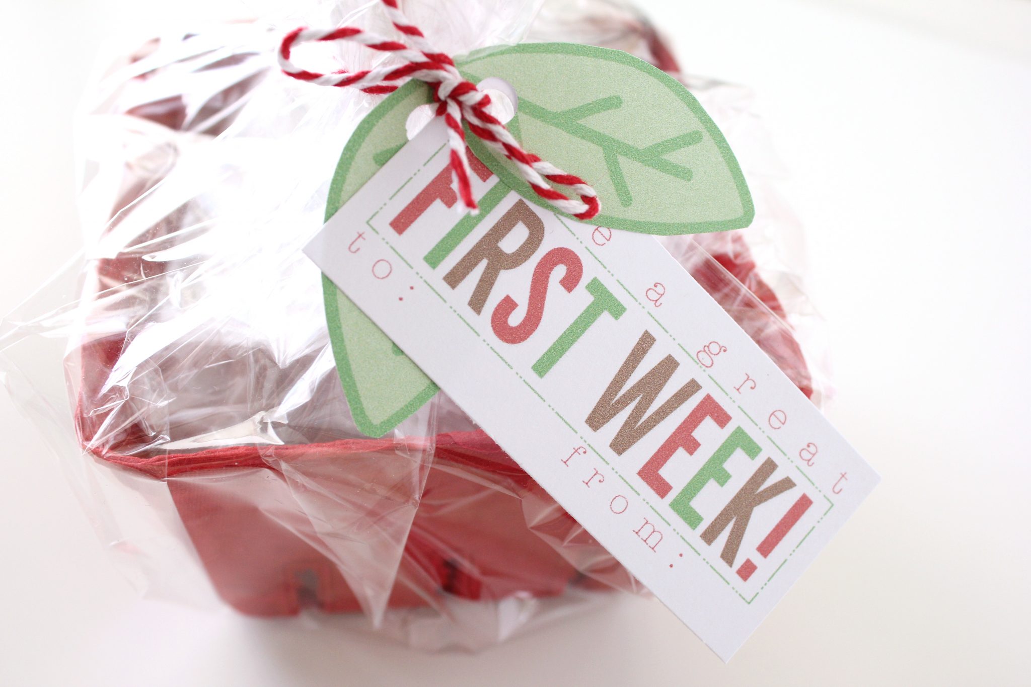 Adorable Back To School Apple Gift Basket - Thirty Handmade Days