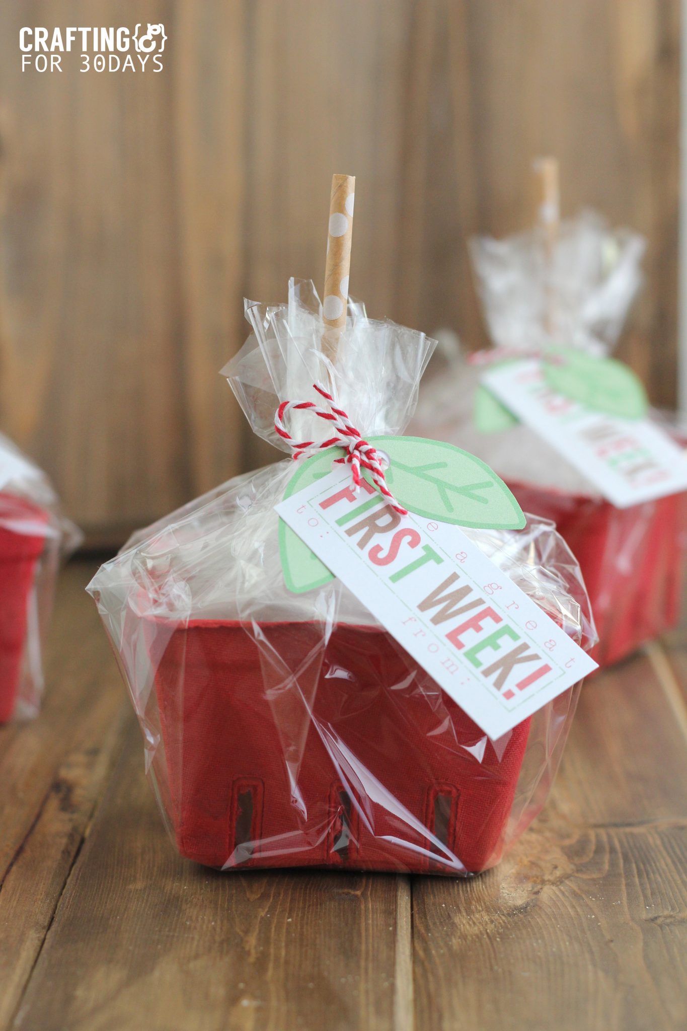 Adorable Back To School Apple Gift Basket - Thirty Handmade Days