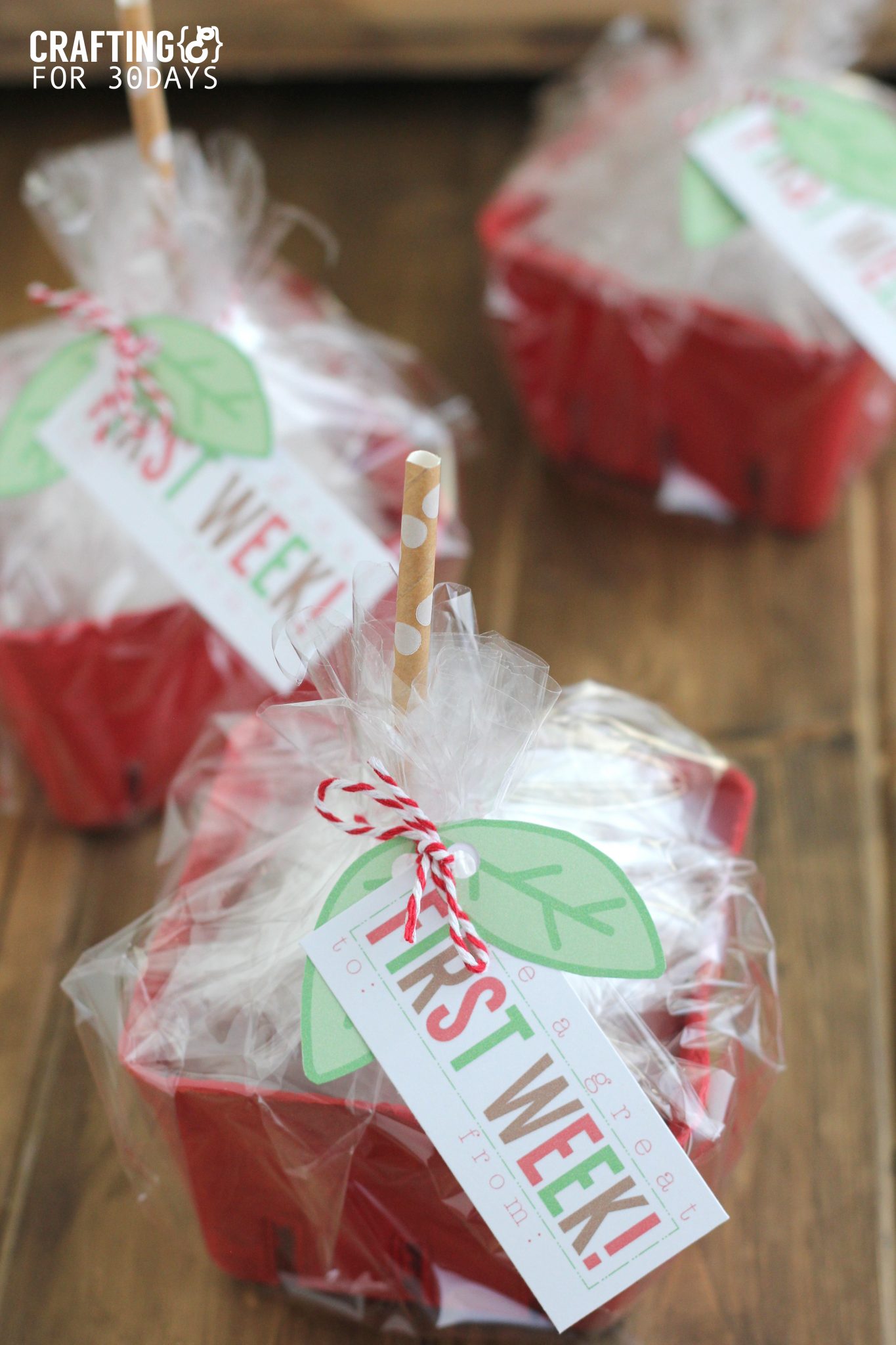 Adorable Back To School Apple Gift Basket - Thirty Handmade Days