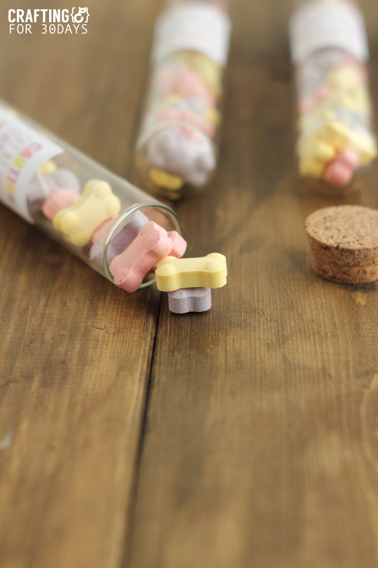 Halloween Gift Idea: Test Tube with Printables