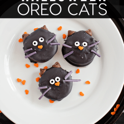 Halloween Oreo Cookie Cats