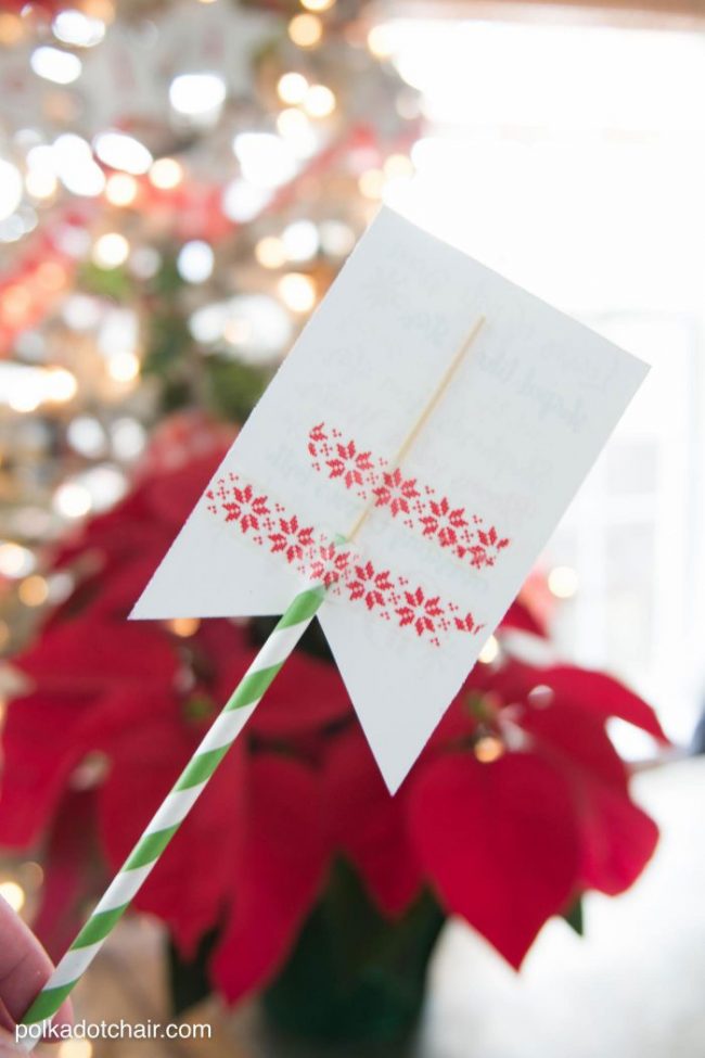 Poinsettia Christmas Gift Idea