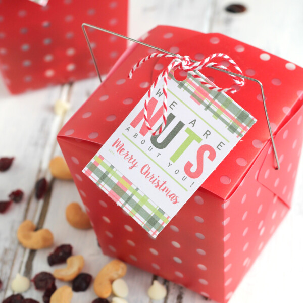 Easy Nut Mix Neighbor Gift