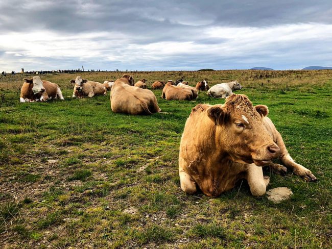 Things to Do In Scotland