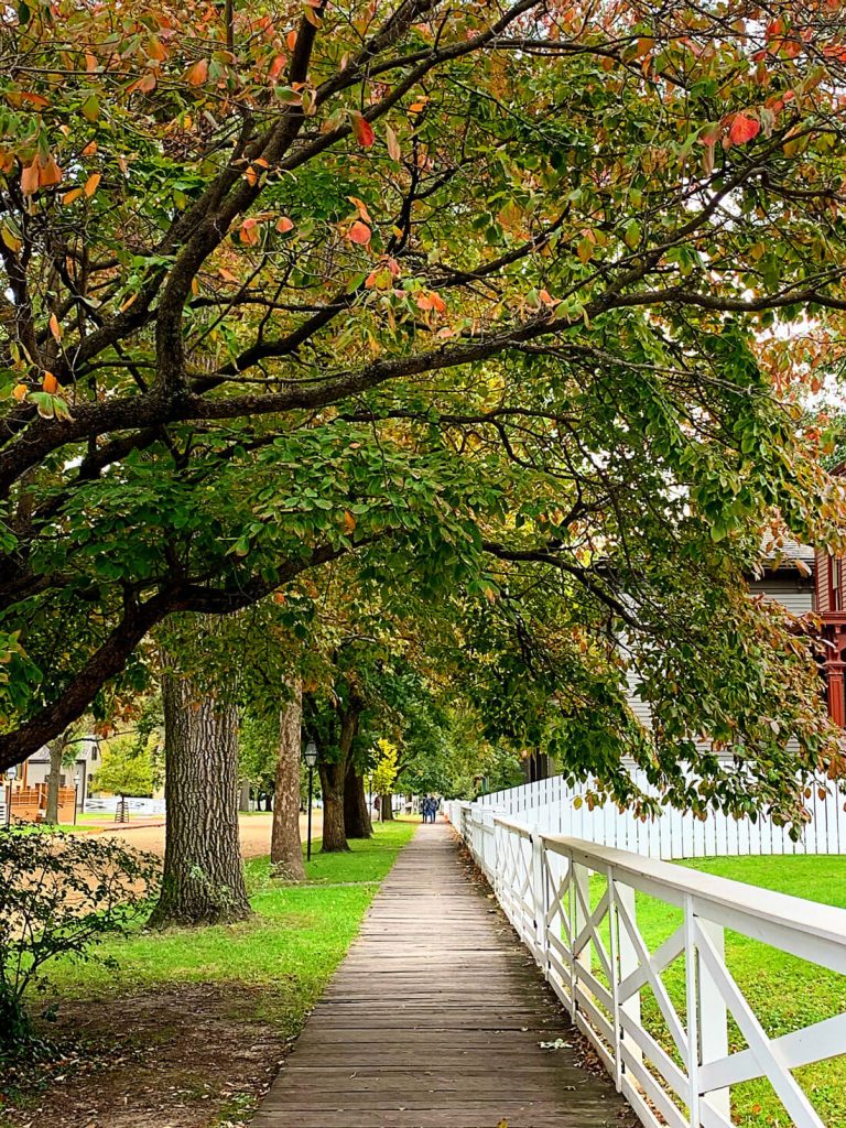 Springfield, Illinois: Pass the Pork Tour from 30daysblog